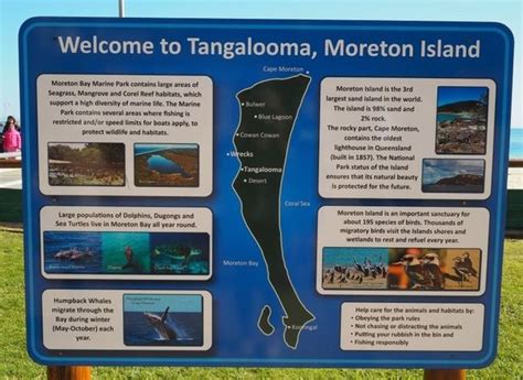 오즈투어 브리즈번 탕갈루마 야생 돌고래 먹이주기영어 줌줌투어 호주 브리즈번