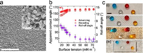A SEM Image Showing The Surface Of An HPC SiO 2 Film That Exhibits A Download Scientific