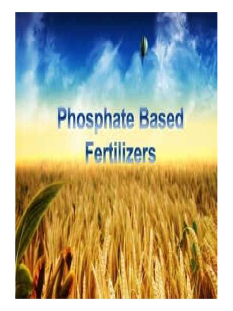Phosphate Based Fertilizer Pdf