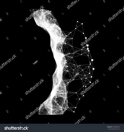 Connection Structure Wireframe Vector Illustration Stock Vector Royalty Free 348888092