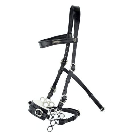 Hackamore Magical Smile