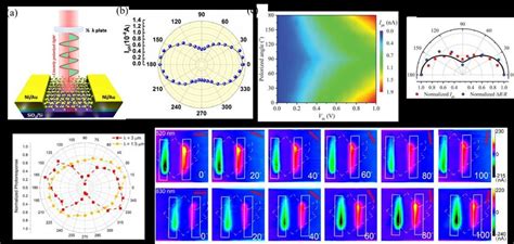 A Schematic Of The Polarization Sensitive Photodetector B Polar Download Scientific