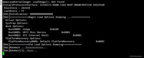 Uefi Qemu环境搭建 Csdn博客 Uefi Qemu环境搭建 Csdn博客
