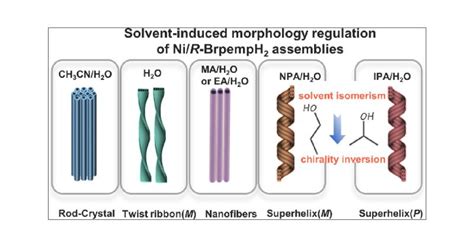 Panče Naumov On Linkedin Macroscopic Helical Assembly Of One Dimensional Coordination Polymers …