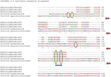 Clustalw Multiple Sequence Alignment Of Don Affinity Binders With