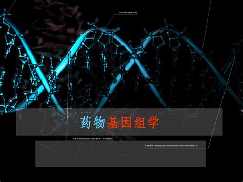 药物基因组学 word文档在线阅读与下载 无忧文档