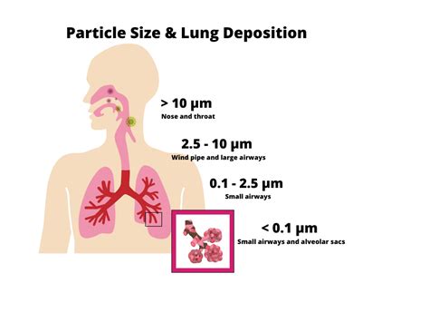 Uwdeohs Particle Deposition Sea Tac Noiseinfo