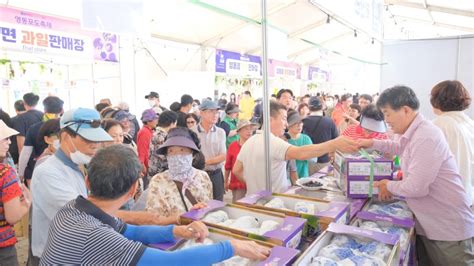 보랏빛 향연 2023영동포도축제 이름값…농산물 21억여원 판매 파이낸셜뉴스