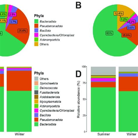 A Bacterial Phyla Relative Abundance Composition B Bacterial