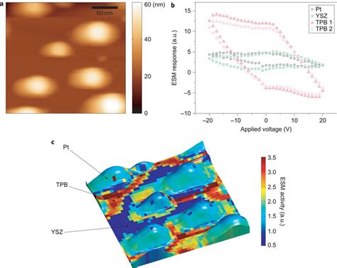 Mapping Electrochemical Activity Near A Triple Phase Boundary A