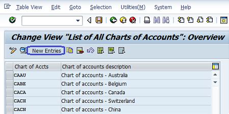 Country Specific Chart Of Accounts In Sap Keski