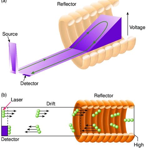 Diagram Of A Linear Time Of Flight Tof Mass Spectrometer Showing The Download Scientific