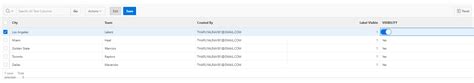 Issue With Column Type Switch In Interactive Grid Oracle Forums