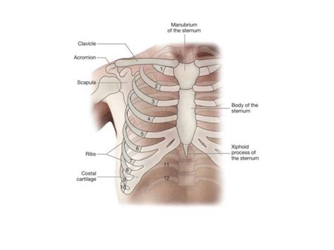 Fracture Coding Cm And Pcs Pptx Death Injury Or Military Conflict Fracture Coding Cm And Pcs Pptx Death Injury Or Military Conflict