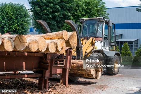 목재 가공 공장에서 지게차 트럭 잡고 나무 큰 로그 로더는 침 엽 수 로그에 로그 마당에 로그 트럭 하 역 목재 제재소에서의 처리 갈고리 발톱에 대한 스톡 사진 및 기타