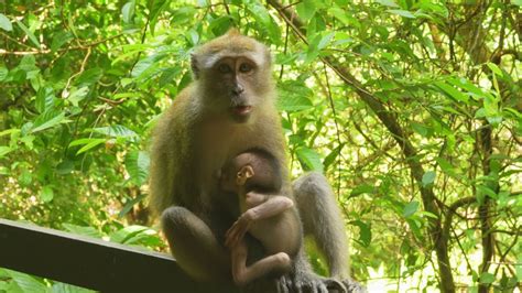 Cute Russian Girl Sex Videos Download The Best Free 4k Stock Video Footage And Cute Russian Girl