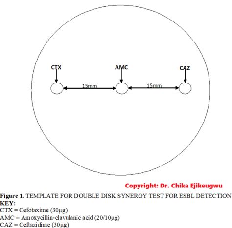 Extended Spectrum β Lactamase Esbl Detection Methods Everything
