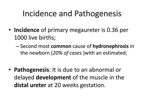 Obstructive Uropathy Final Presentation Pdf