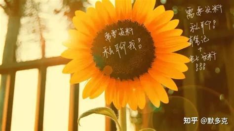 中山大学349，666药学综合上岸！ 知乎