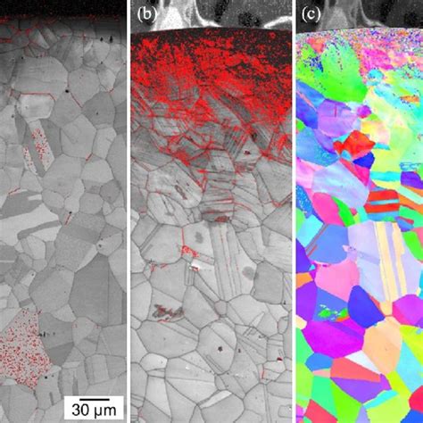 Cross Sectional Ebsd Iq Showing The Low Angle Grain Boundaries Of