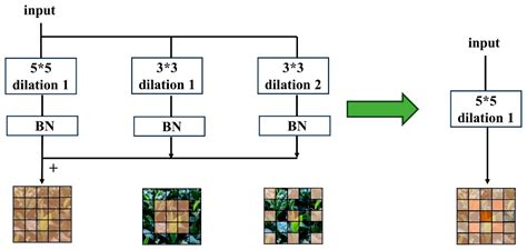 Rt Detr Tea A Multi Species Tea Bud Detection Model For Unstructured Environments