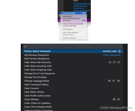 Vscode连接远程服务器vscode Remote Explorer Csdn博客