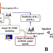 The Schematic Of IC Study Protocol A The Overall Design Of The Download Scientific Diagram