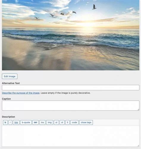 Polylang Plugin The 2025 Best Tool For Multilingual Sites
