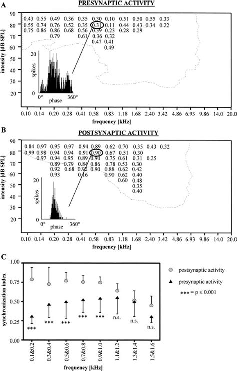 Phase Locking To Pure Tone Stimuli Unit G131 09 A Presynaptic