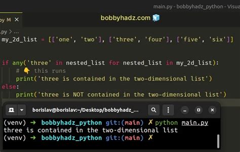 Check If A Value Exists In A Two Dimensional List In Python Bobbyhadz