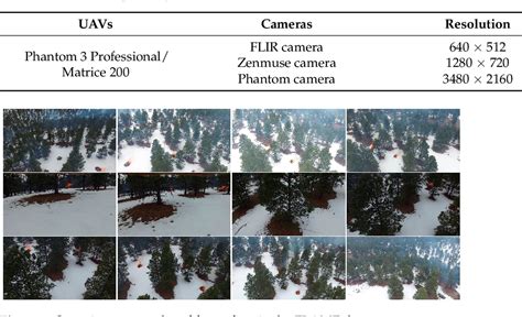 Figure 1 From A Forest Fire Recognition Method Using Uav Images Based On Transfer Learning
