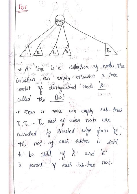 Trees Nil Data Structures Studocu