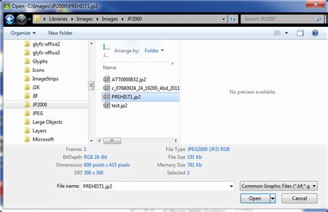 Delphi How To Preview An Image With Tfileopendialog Stack Overflow