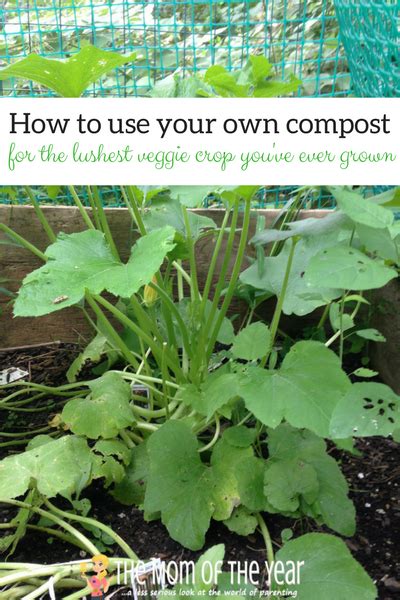Composting How To Start Your Own Compost Pile The Mom Of The Year