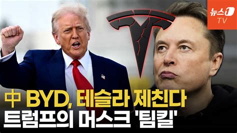 트럼프의 관세 테슬라 팀킬시진핑만 씨익 웃는 현상황