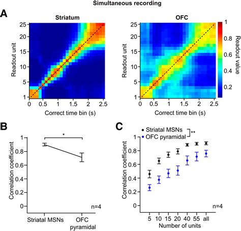 Differential Encoding Of Time By Prefrontal And Striatal Network Dynamics Journal Of Neuroscience