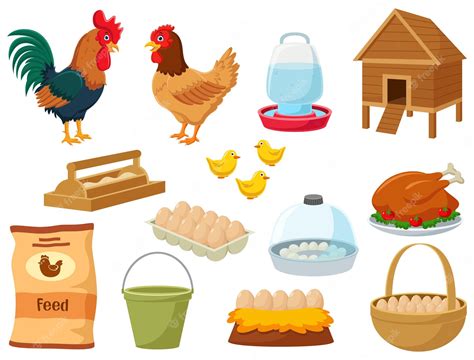 Premium Vector Set Of Poultry Farm Cartoon Elements