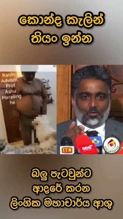 කොන්ද කැලින් තියං ඉන්න බල්ලන්ට ලිංගික අතවර ක්‍රියා කරන නියම දෙශපාලකයෙක් 👏🏼👏🏼👏🏼😂 Youtube