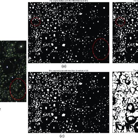 Comparison Of Segmentation Results With Different Filter Thresholds In