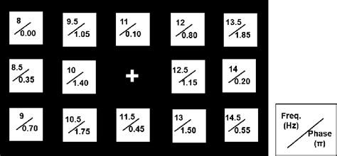 Layout Of The Ssvep Stimuli Download Scientific Diagram