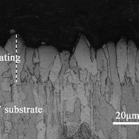SEM Image Of Cross Sectional Microstructure Download Scientific Diagram