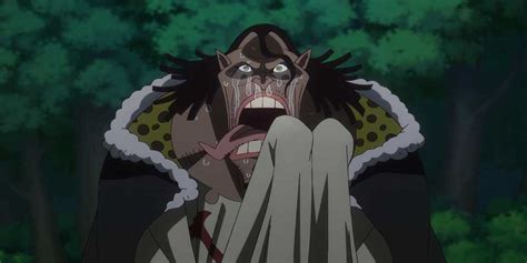 One Piece Anime Finally Revisits Chouchou After 25 Years