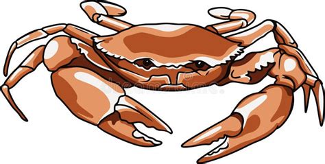 Crab Vector Clipart Stock Vector Illustration Of Layers 276587938