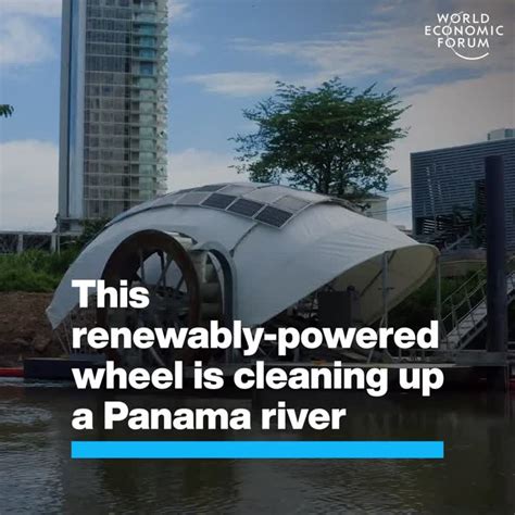 Samira K On Linkedin Epnwitkq