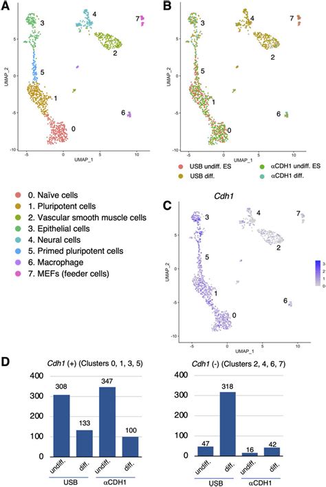 Scrna Seq Analysis Of Es Cells And Their Differentiated Derivatives