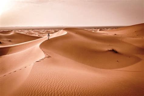 30 Interesting Facts About The Sahara Desert Ohfact