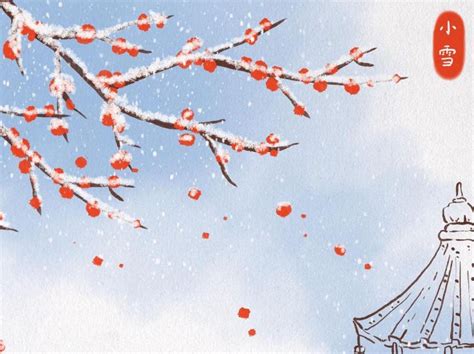 迎冬小雪至 苏州市审计局