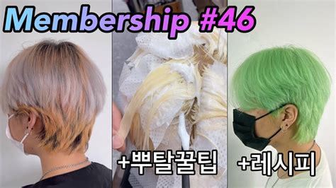 멤버십46회 페이퍼 뿌리탈색 파스텔그린 염색레시피 Youtube
