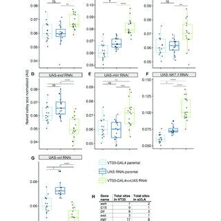 Testing Regions Of Accessible Chromatin At The Ubx Locus For Enhancer Download Scientific