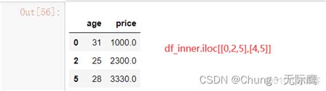 Python数据分析之pandas数据预处理（数据合并与数据提取、loc、iloc、ix函数详解） 自由资讯